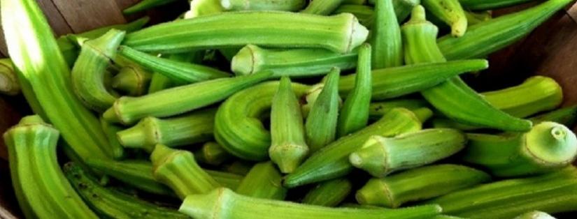 Recette de gombo légume : un plat savoureux et réconfortant